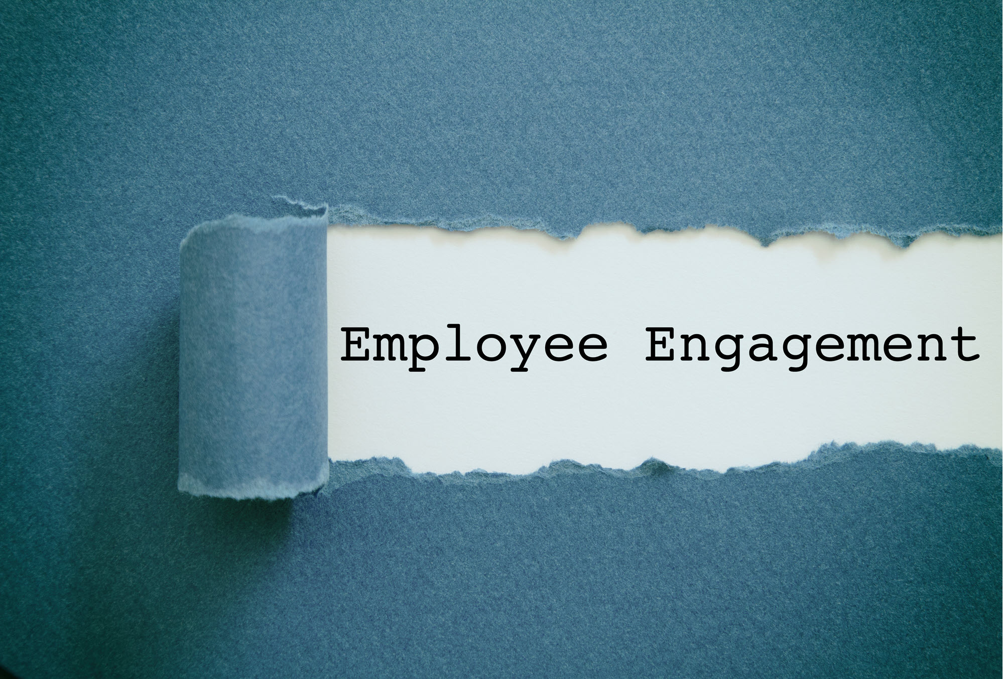 Managing Your TalentReef Account